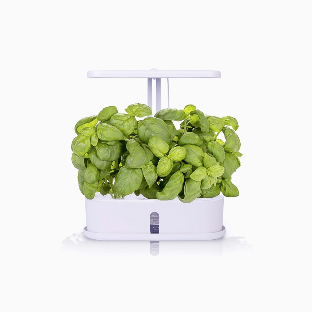 VegeSense 智慧微农场 – VegeSense