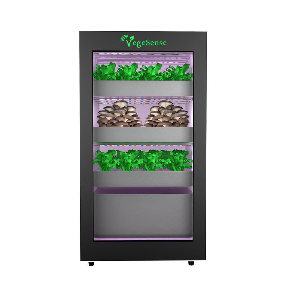 VegeSense 智慧微农场 Lite – VegeSense